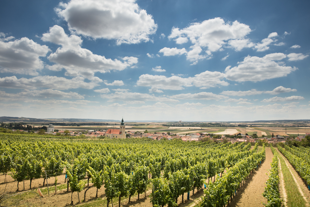 Weinfans aufgemerkt! Culinarium Bavaricum bringt dir das Weinviertel ...
